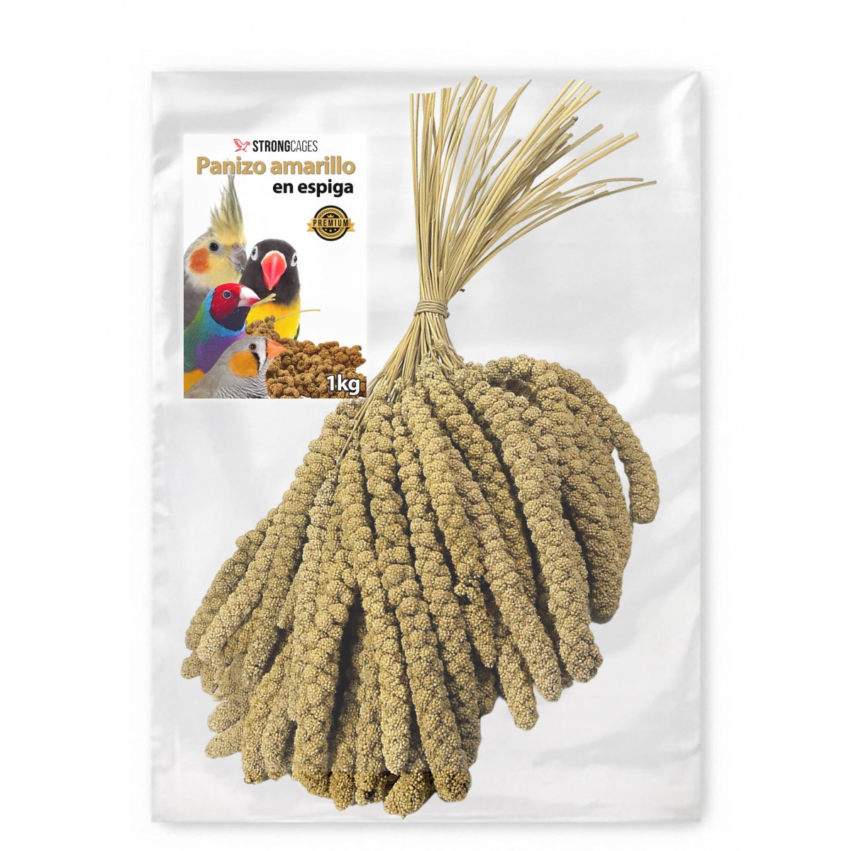 Panizo espiga amarillo